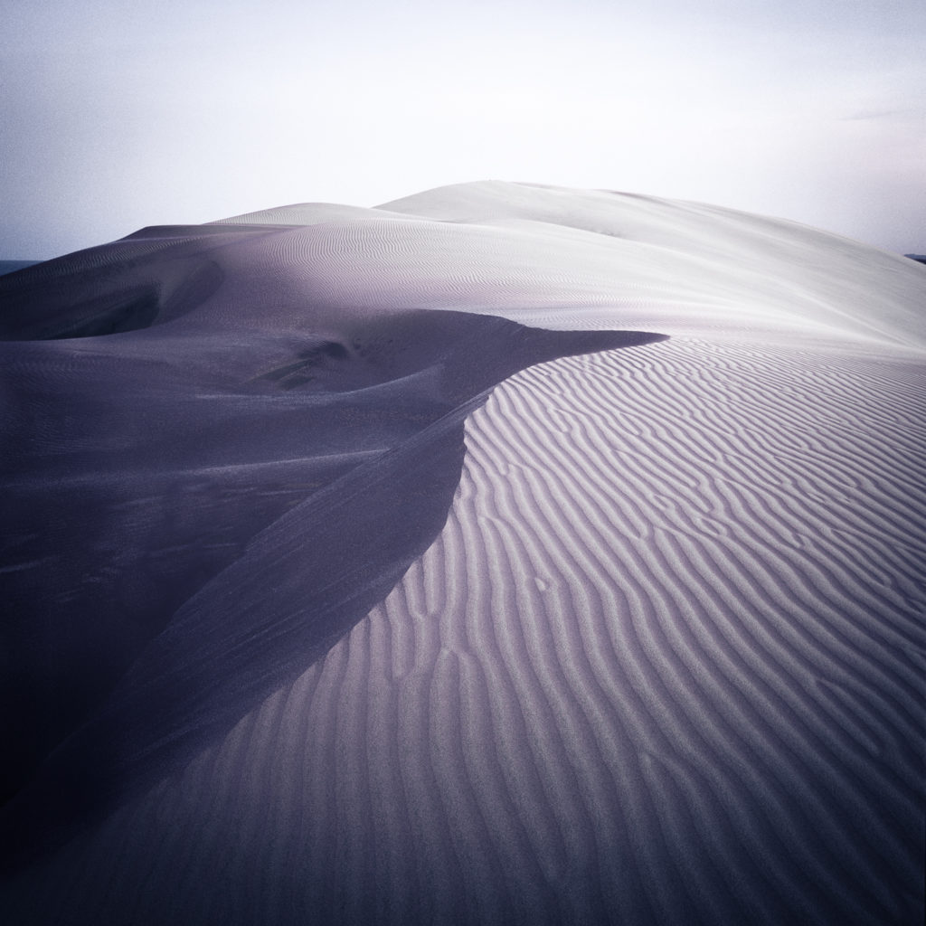 2020 - Auroras & Blossoms