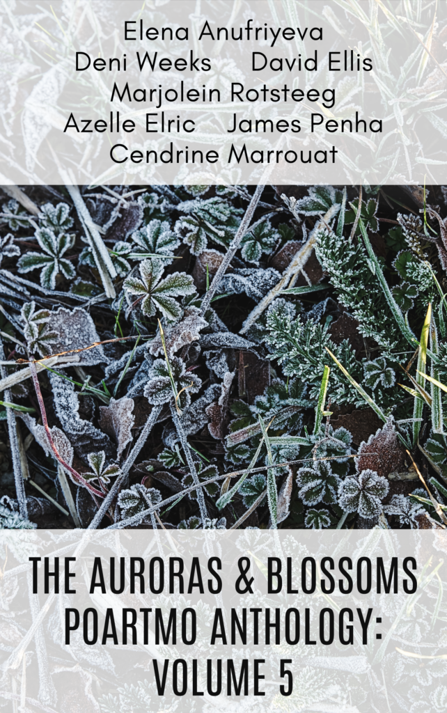 Today is Cover Reveal Day for ‘The Auroras & Blossoms PoArtMo Anthology ...